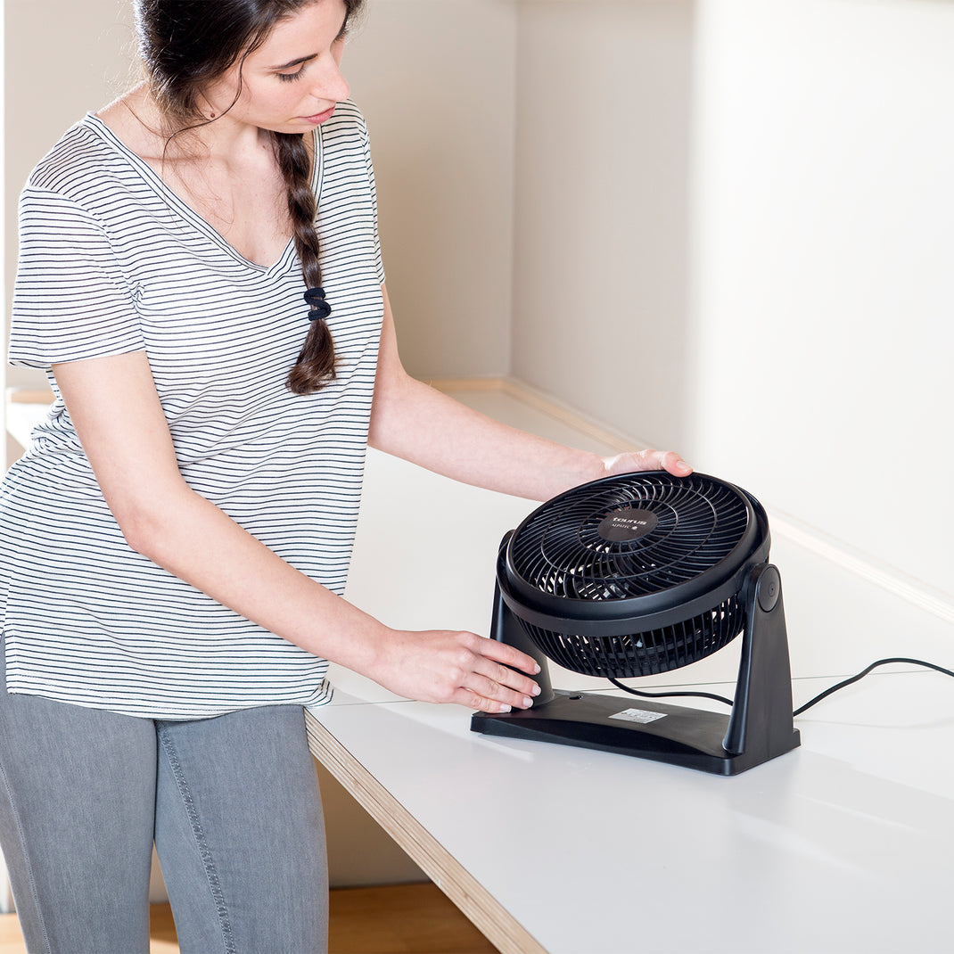 ICE BRISE MINI – Taurus